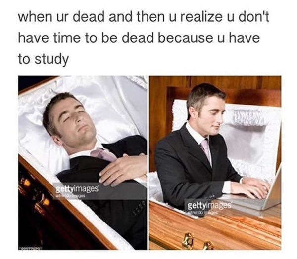 35 Architecture Student Memes That’ll Make You Laugh . . . And Then Cry ...